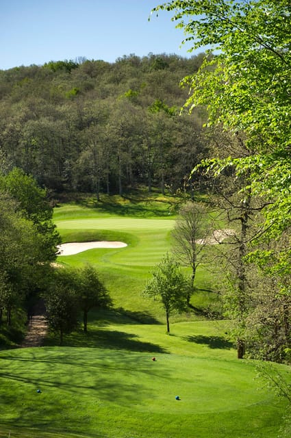 Exclusive Vineyard Golf: La Rioja and Basque Country | GetYourGuide