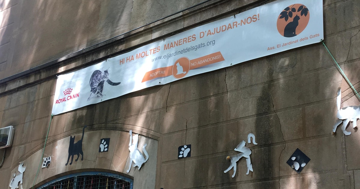 Hidden Stories of El Raval: Art, History, and Social Life | GetYourGuide