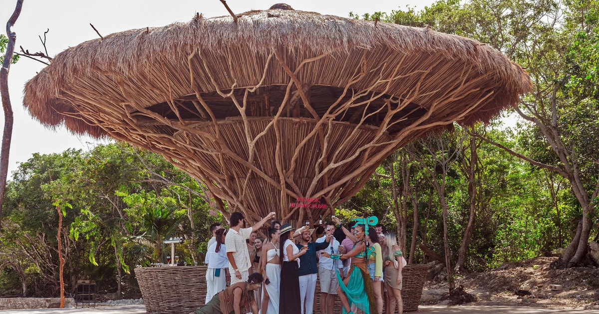 Beer Ritual in Tulum Shaman Secret Cenote & Mystical Tasting | GetYourGuide