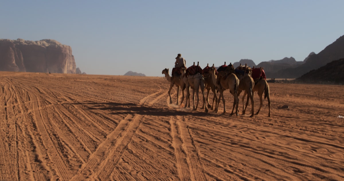 Wadi Rum: Camel ride + jeep tour | GetYourGuide