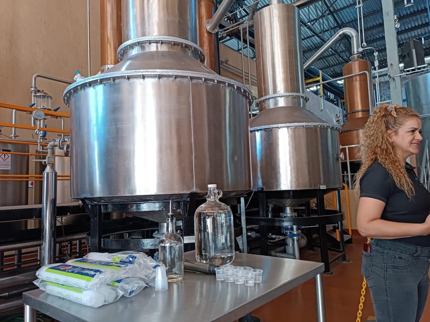 Vijfsterrenfabriek: Maak kennis met Orendain tequila. | GetYourGuide