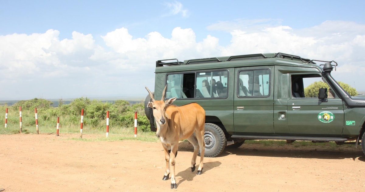NAIROBI TOUR AND EXCURSION | GetYourGuide