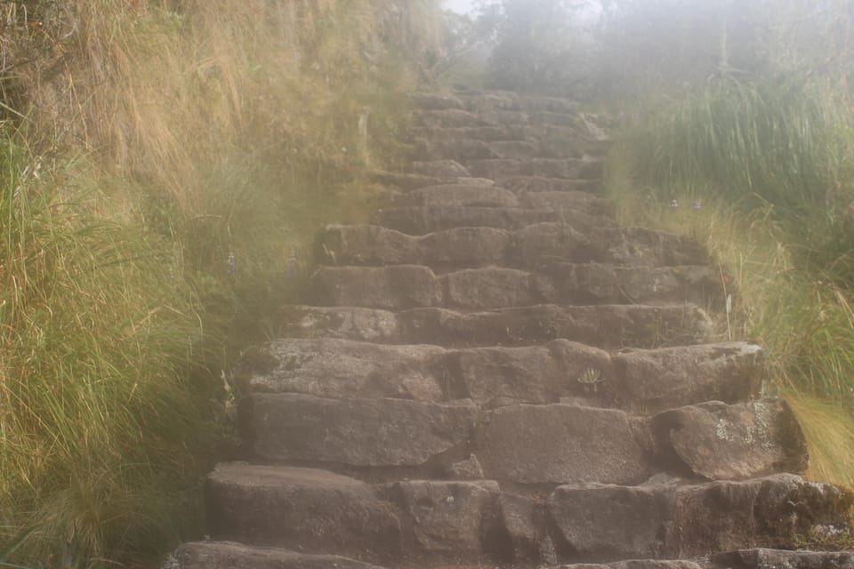 Crossing the Andes and the Amazon | GetYourGuide