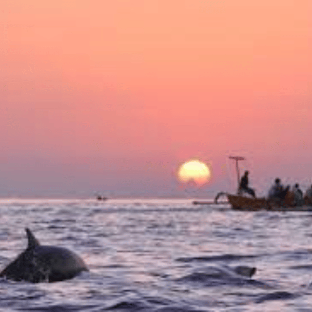 Bali : Full Day Bali Dolphin Tour | GetYourGuide