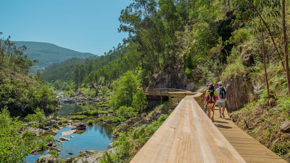 From Porto: Arouca Bridge Guided Day Trip with Lunch | GetYourGuide
