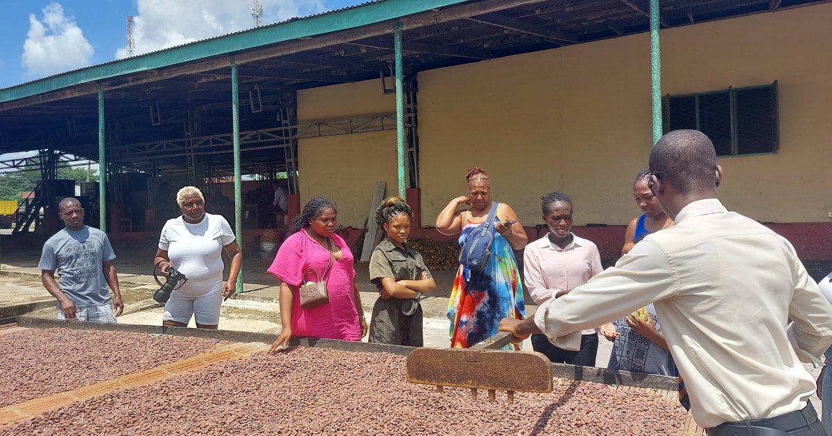 Accra : visite d'une plantation de cacao et d'une chocolaterie avec prise en charge | GetYourGuide