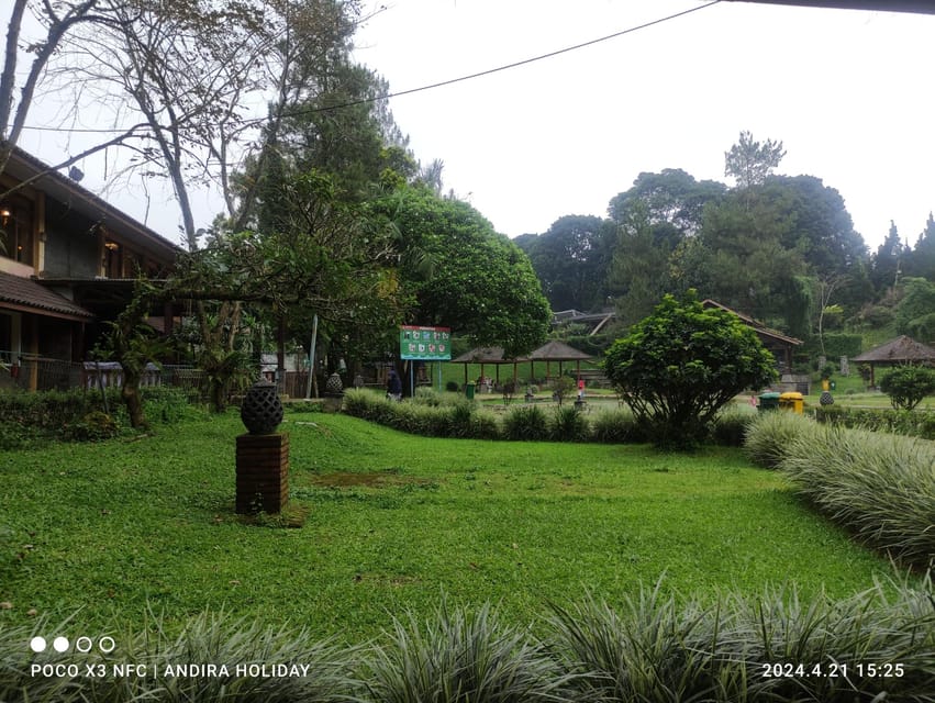 자카르타 출발: 화산, 온천, 차 공장, 루왁 투어 | GetYourGuide