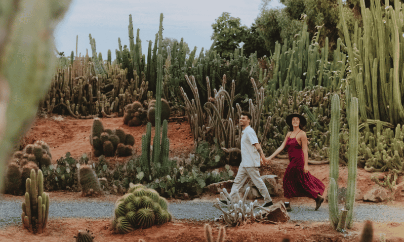 Cactus Country: Entry Ticket | GetYourGuide