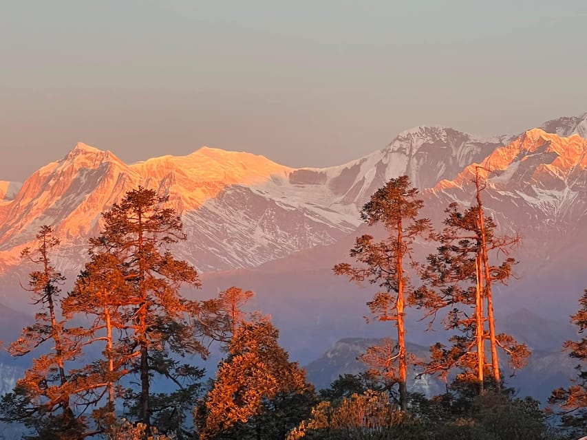 Mohare Danda Trek - 8 Days | GetYourGuide