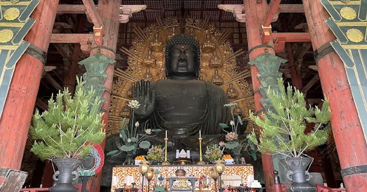 Osaka: Entdecke die zeitlose Anmut von Nara bei einer Führung ...