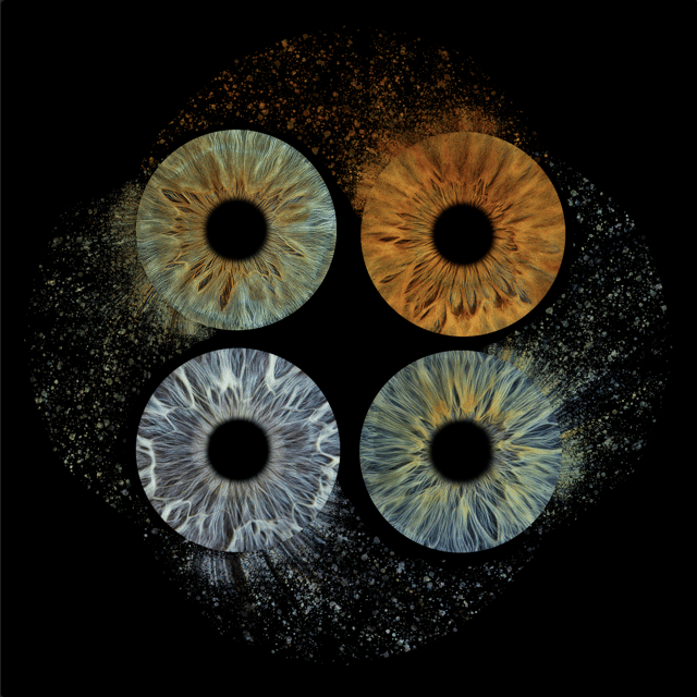 Iris Shooting- Original activity for families and couple | GetYourGuide