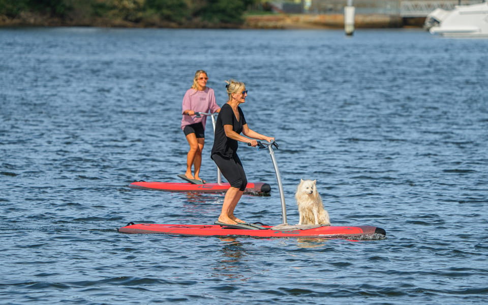 From Sydney: Full Day Tour of Golden Beaches and Ocean Vista | GetYourGuide