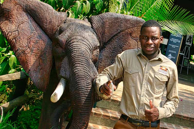 Victoria Falls Zimbabwe Bar Safari Walking Tour | GetYourGuide