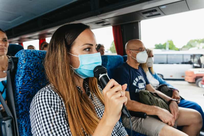 From Naples: Pompeii Ruins & Mount Vesuvius Day Tour | GetYourGuide