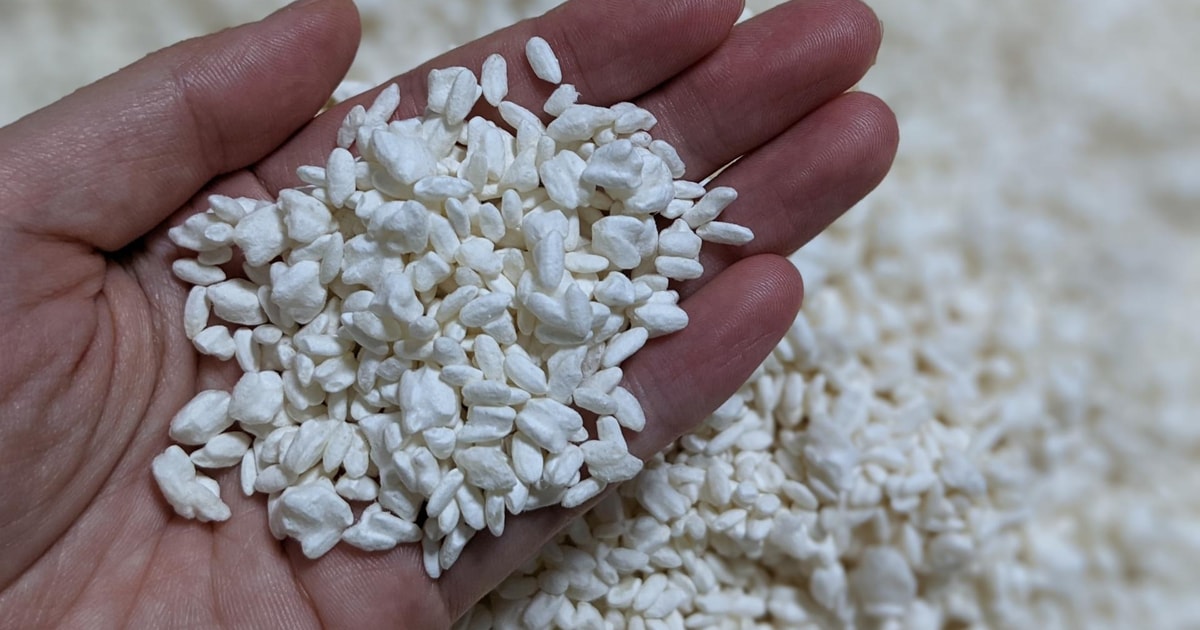 Kyoto: Koji-Verkostung und Amazake-Dessert-Workshop | GetYourGuide