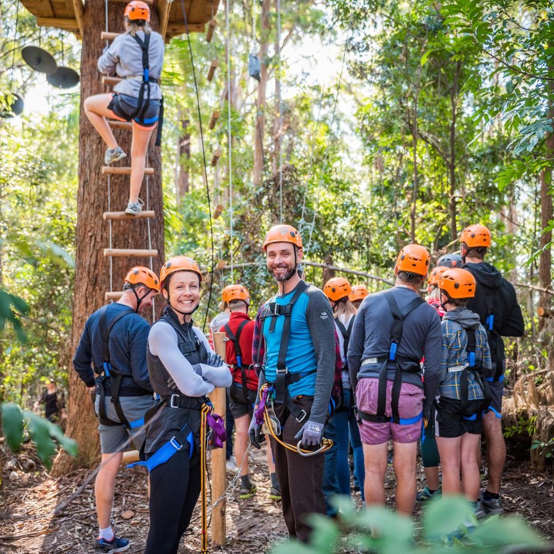 Canberra: Majura Pines Tree Ropes Course | GetYourGuide