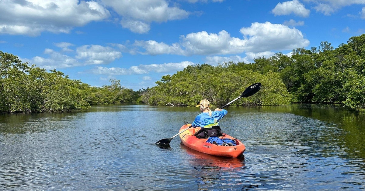 Bradenton: Anna Maria Island Guided Kayaking Manatee Tour | GetYourGuide