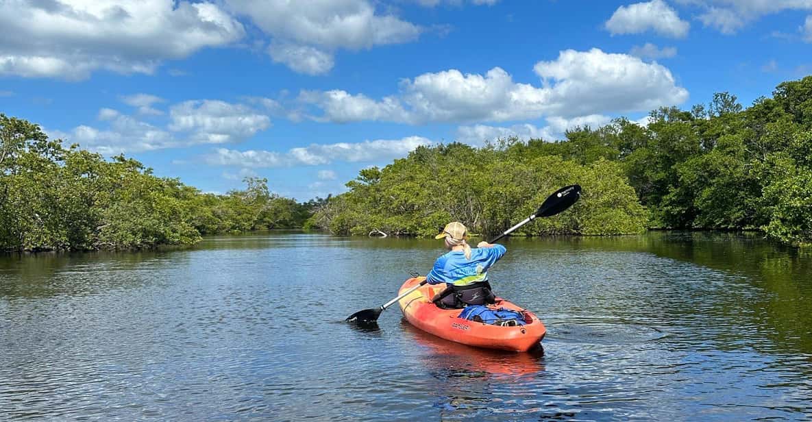 Bradenton: Anna Maria Island Guided Kayaking Manatee Tour | GetYourGuide