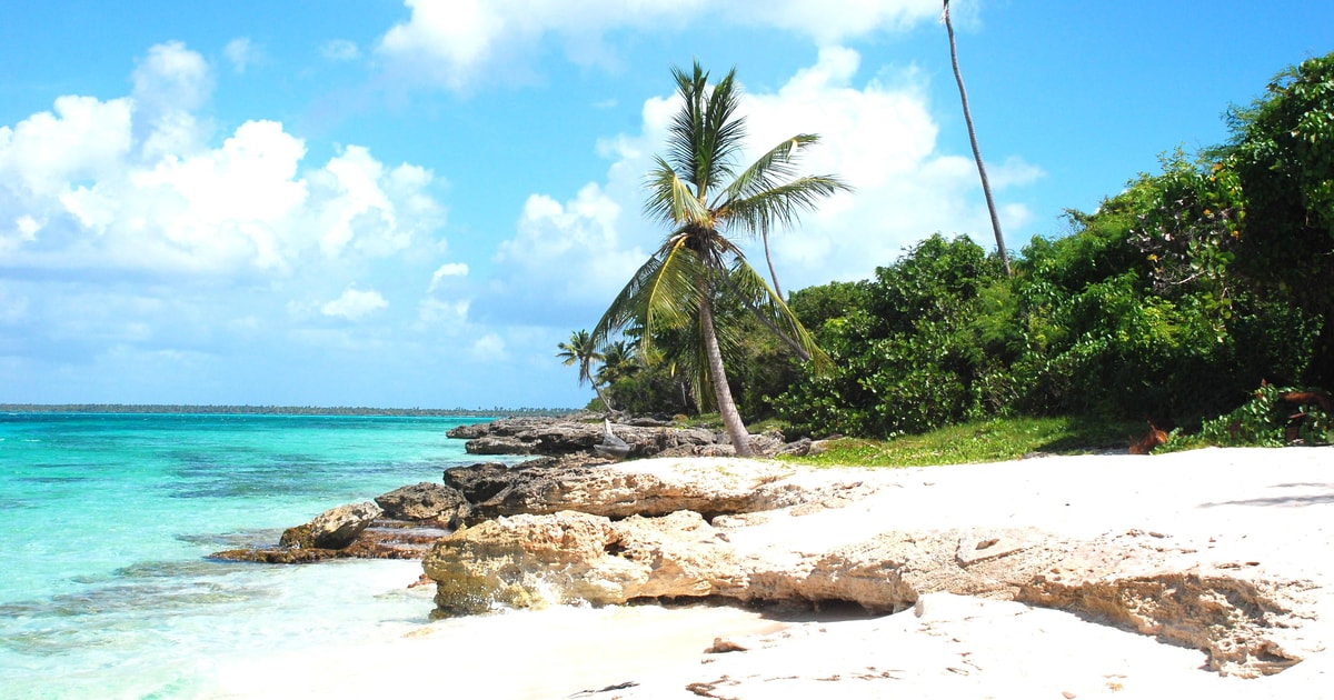 Excursie la țărm cu Carnevial : Insula Saona | GetYourGuide