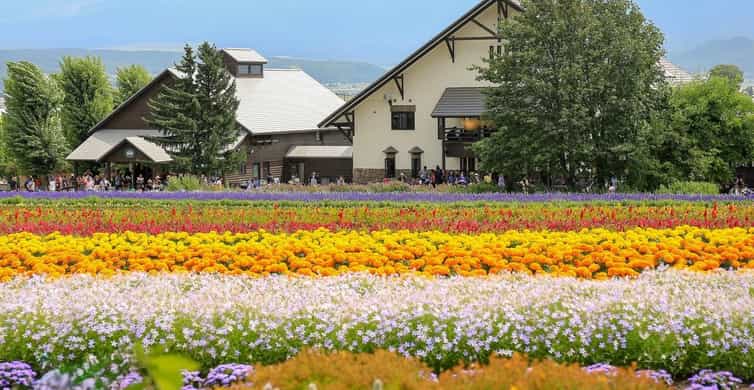 The BEST Furano Tours and Things to Do in 2024 - FREE Cancellation ...