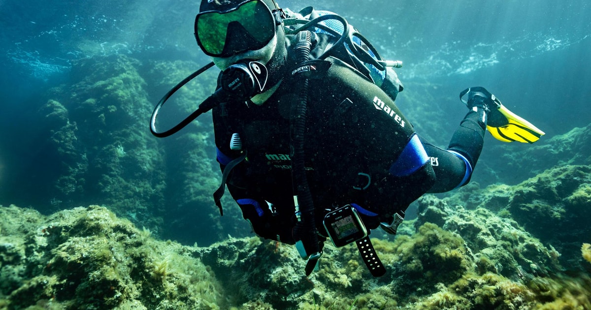 Mallorca: Winter diving adventure (for certified divers) | GetYourGuide