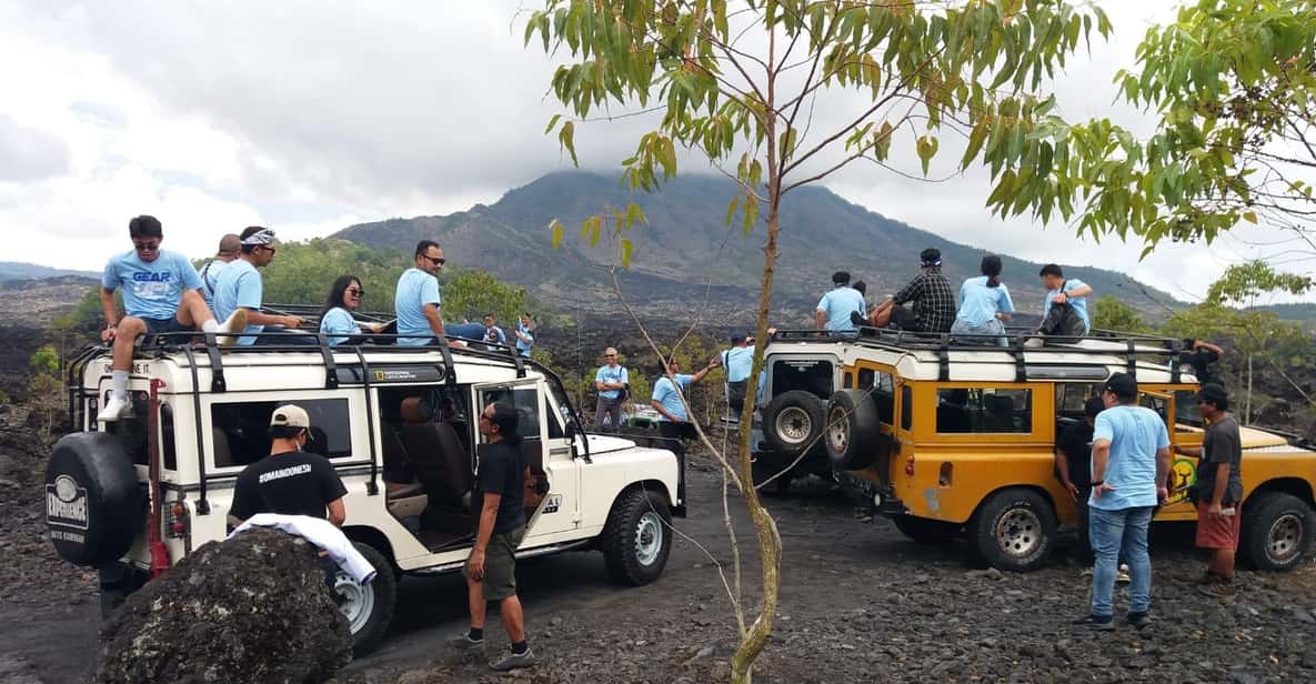 Bali: Land Rover Jeep Tour Kintamani & Ubud Schommel | GetYourGuide