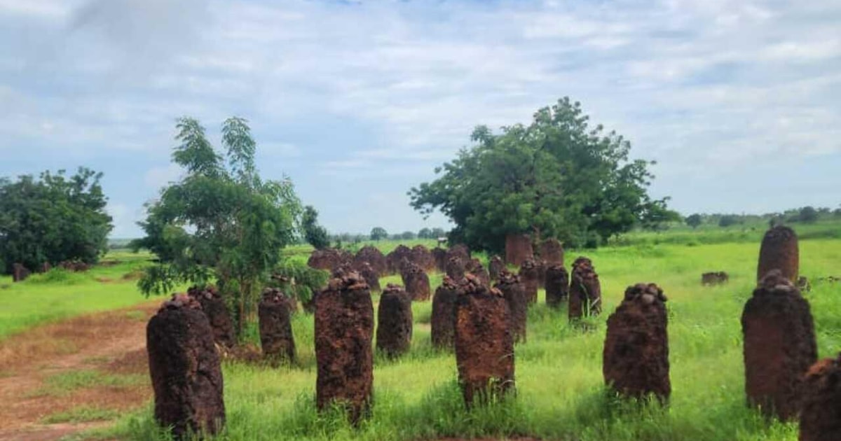 Discover Janjanbureh: A Journey to Gambia’s Historic Heart | GetYourGuide