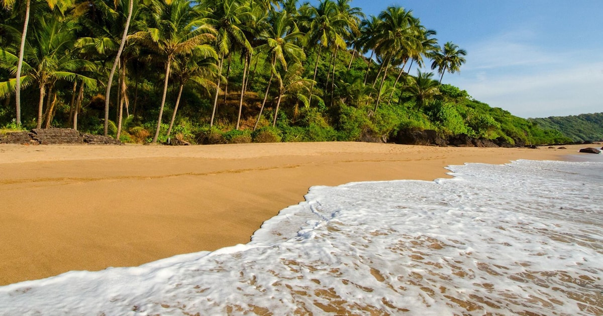 Goa: Recorrido de 5 días por playas, fortalezas y patrimonio | GetYourGuide