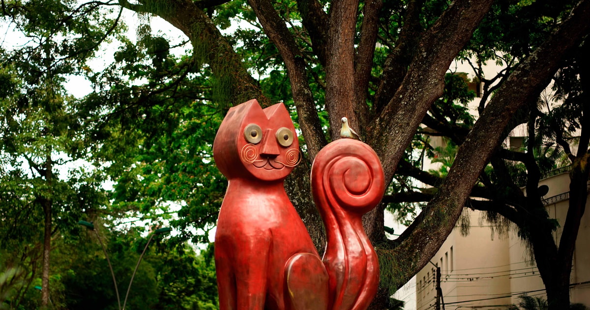 Cali: Tour de la ciudad | GetYourGuide