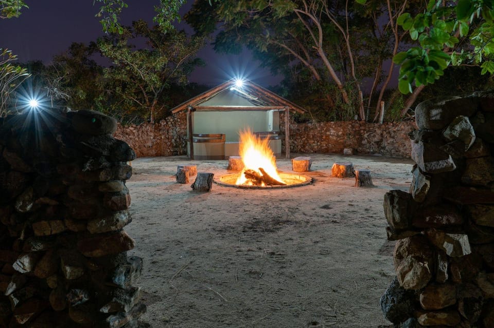 4 Day Dumela Tented Camp Safari | GetYourGuide