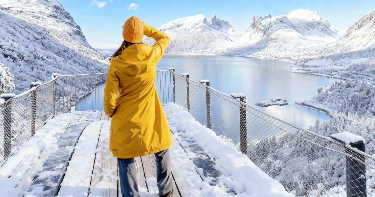 Tromsø: The Senja National Scenic Route Full Day Tour | GetYourGuide