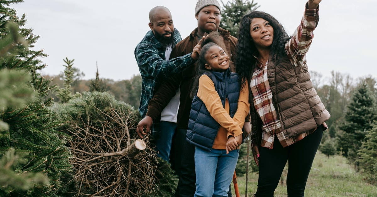 Las Vegas: Christmas Tree Cutting Adventure with guide | GetYourGuide