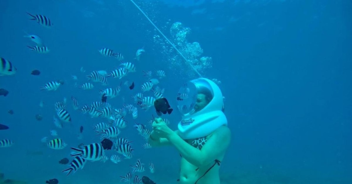 Zanzibar: Underwater Sea Walk Experience | GetYourGuide