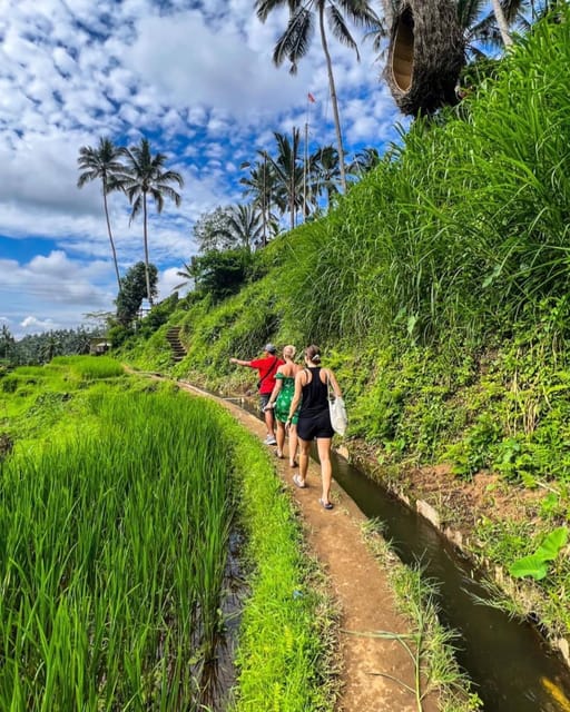 발리 개인 디자인 - 맞춤형 투어 | GetYourGuide