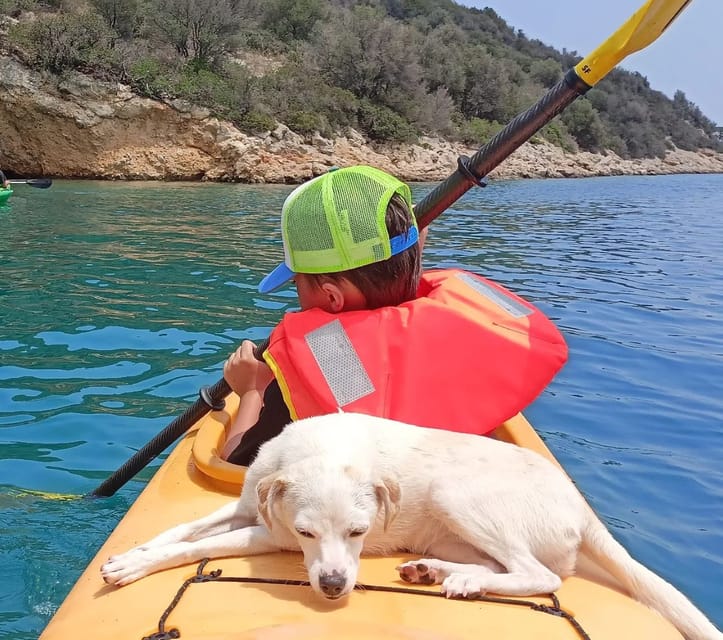 From Athens Sea Kayak Sunken City of Epidaurus | GetYourGuide