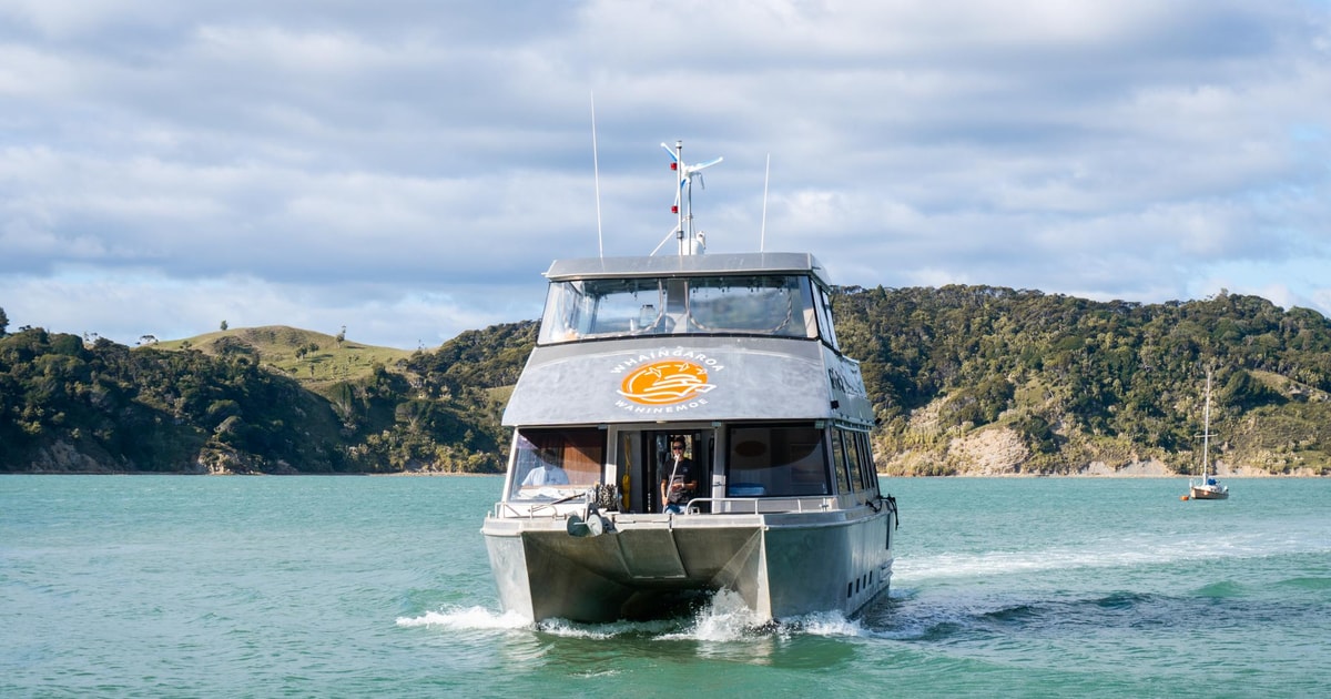 Raglan: Lunchtime Cruise of Raglan Harbour | GetYourGuide
