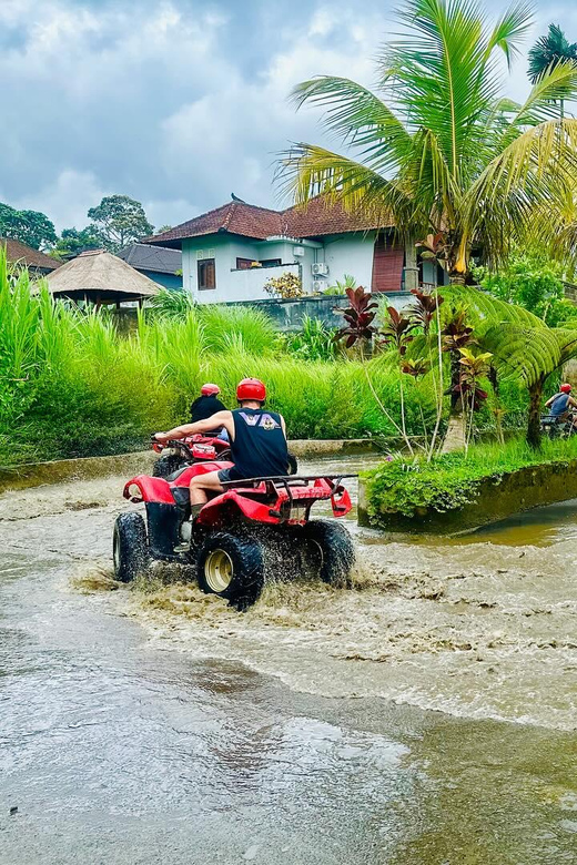 Bali: Ubud Jungle, River, Waterfall & Tunnel Quad Bike Tours | GetYourGuide