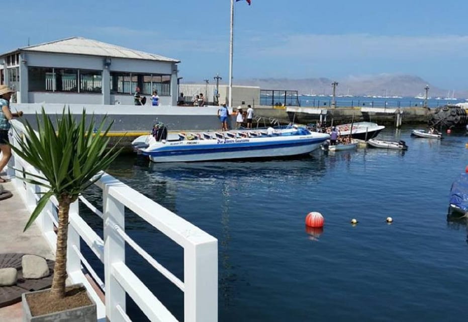 Da Lima: Tour in motoscafo delle Isole Palomino e nuoto con i leoni ...