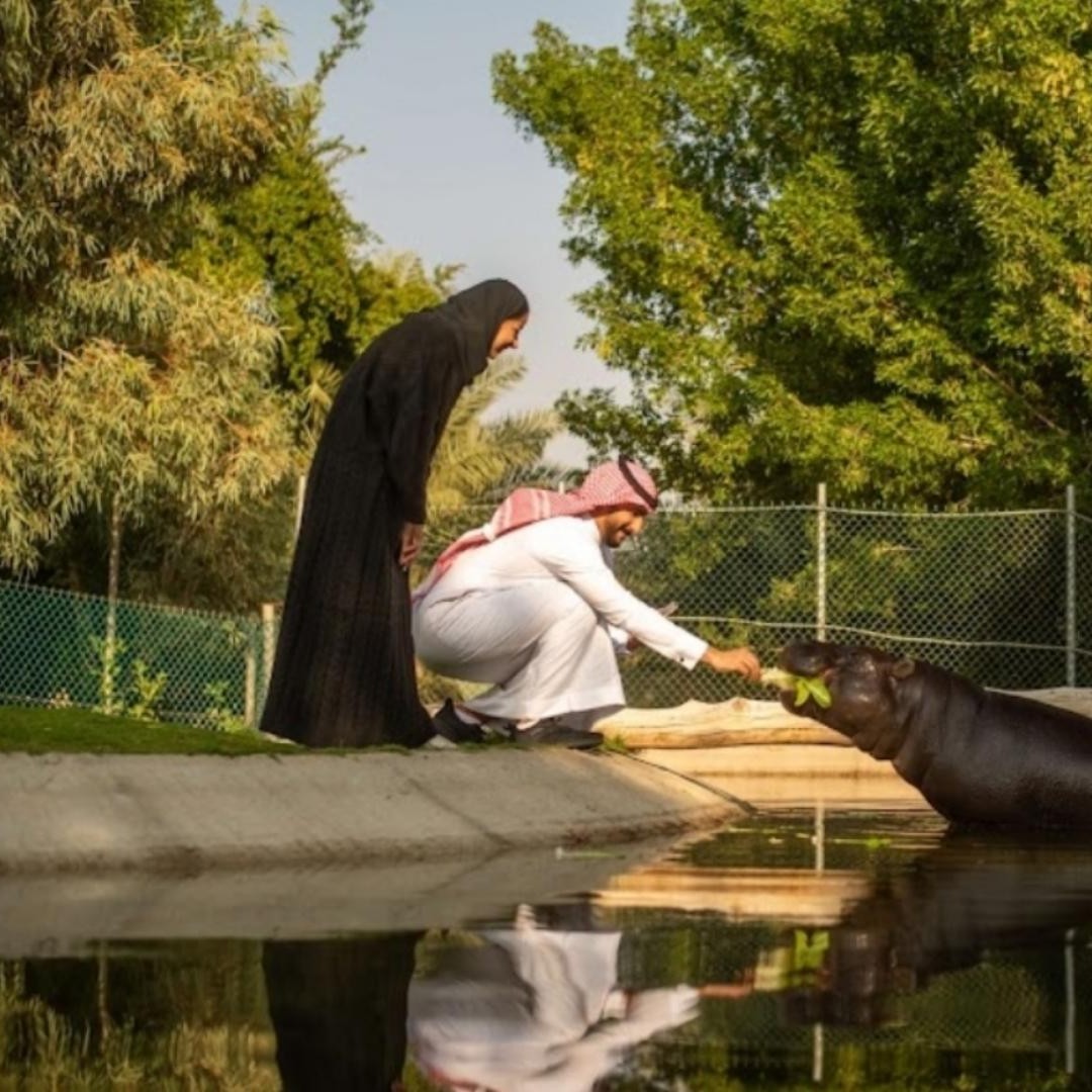 From Riyadh: Nofa Wildlife Park Private Day Trip | GetYourGuide
