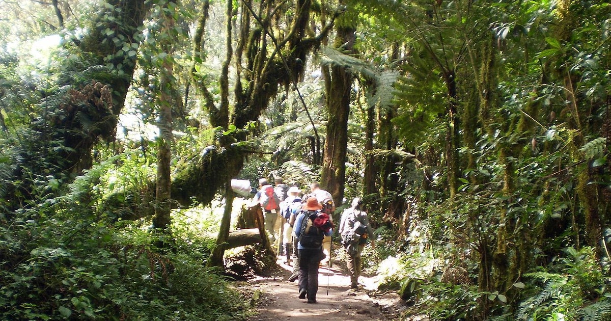 Marangu Waterfalls | GetYourGuide