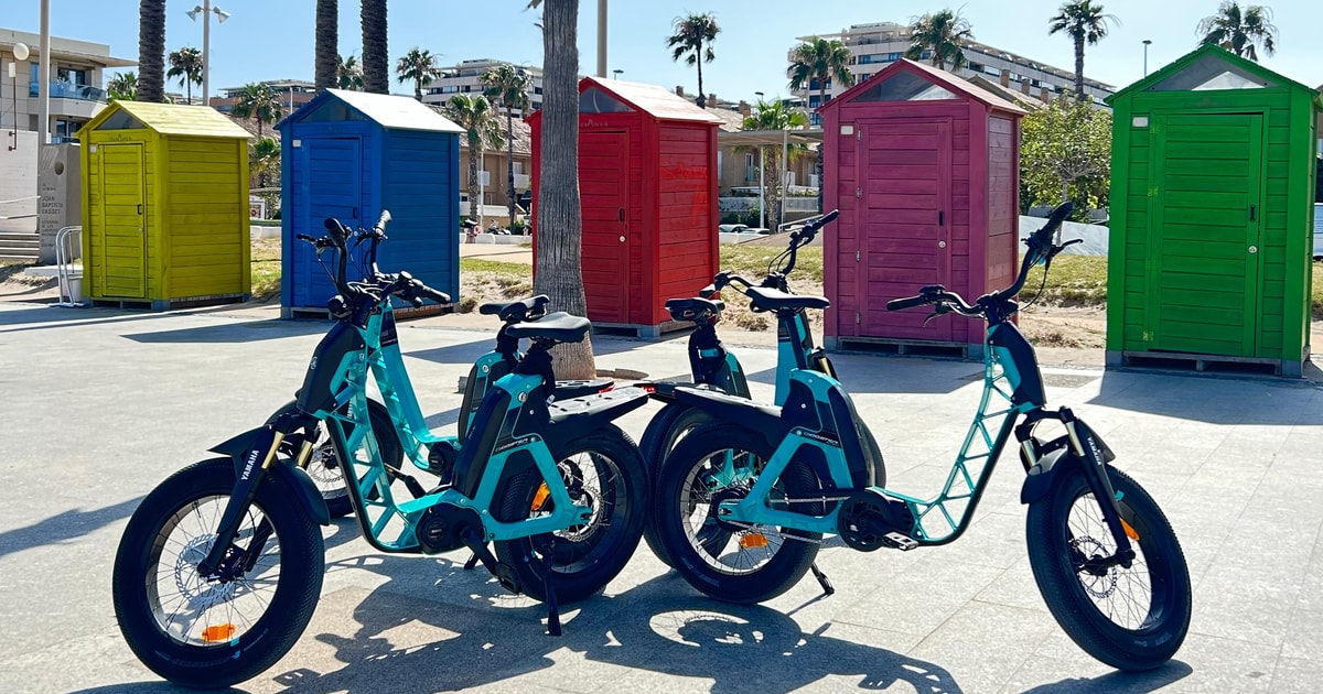 Valencia alt i ét: strande, den gamle bydel og bykunst på elcykel | GetYourGuide