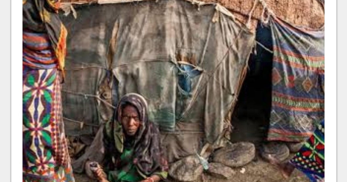 Semera: 3-Day Afar Nomadic Culture Immersion | GetYourGuide