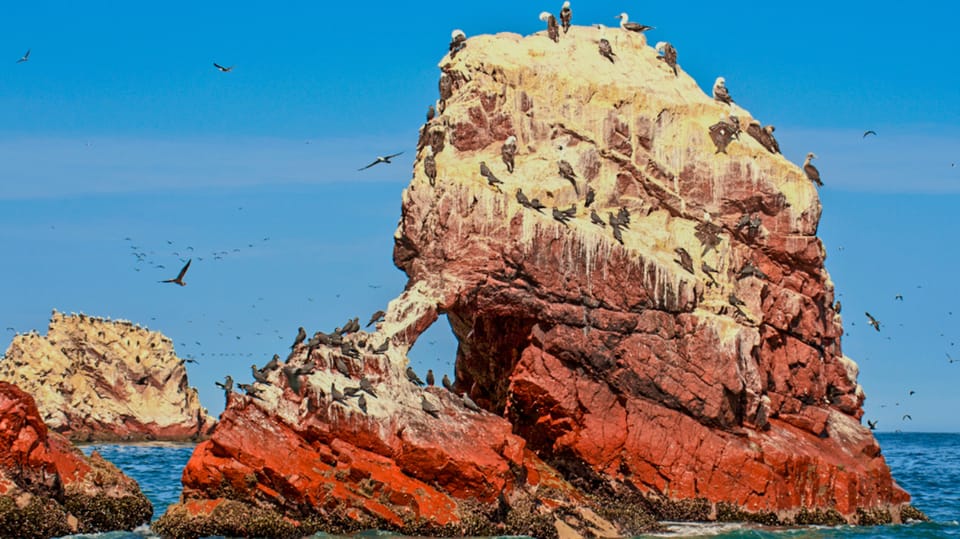 Desde Paracas: Tour en barco guiado por las Islas Ballestas | GetYourGuide