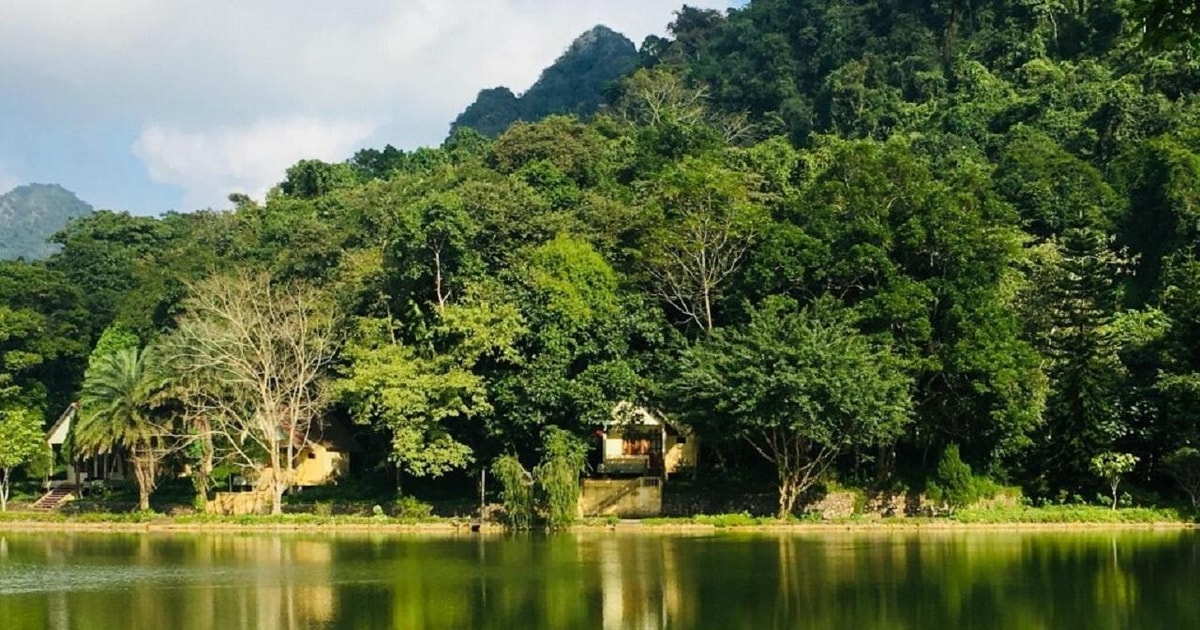 From Ninh Binh : Cuc Phuong National Park Full Day Trip | GetYourGuide