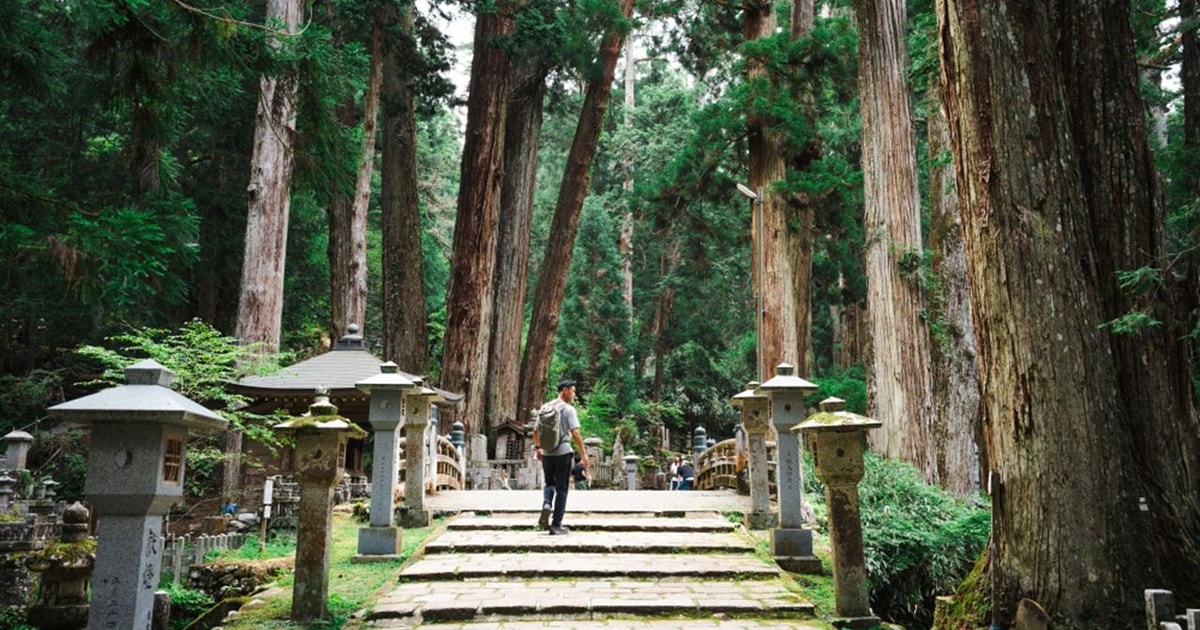 Der Berg Koya von Osaka aus: Kulturelle Tagestour in kleiner Gruppe ...