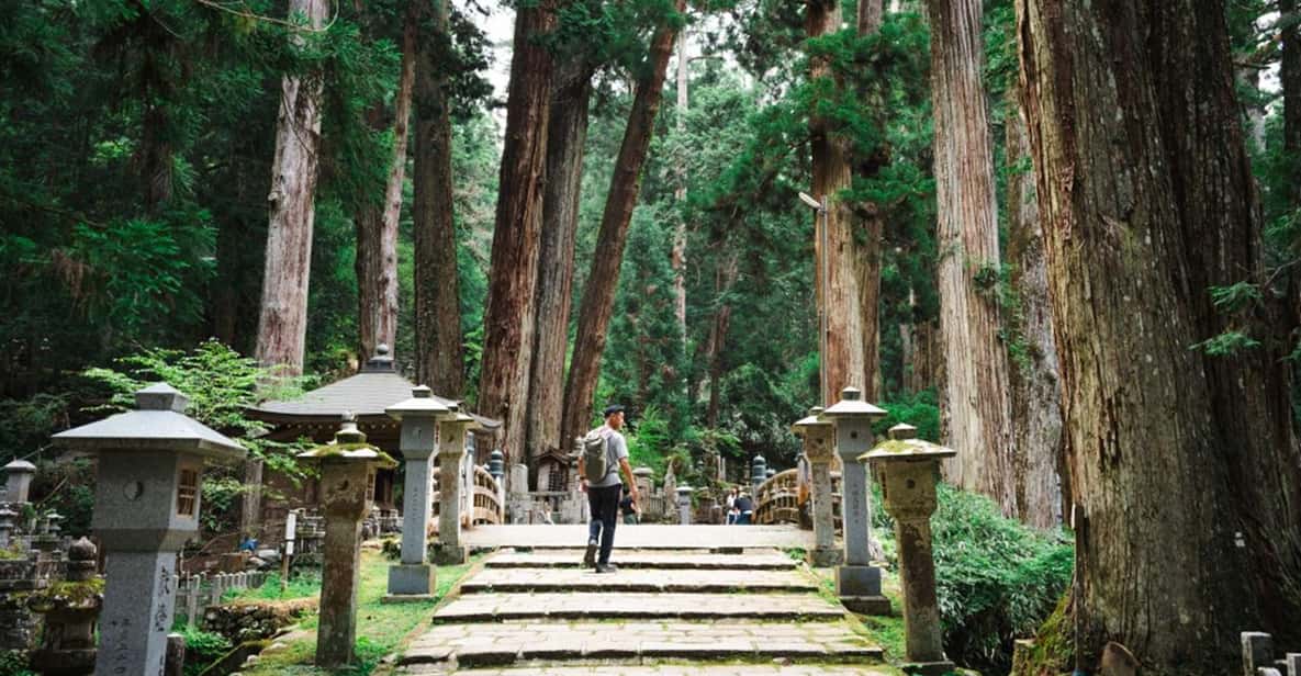 Mount Koya from Osaka: Cultural Small Group Day Tour | GetYourGuide