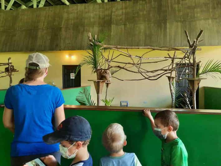 2-Day Tour Combo: Monkey & Sloth + Embera Tribe | GetYourGuide