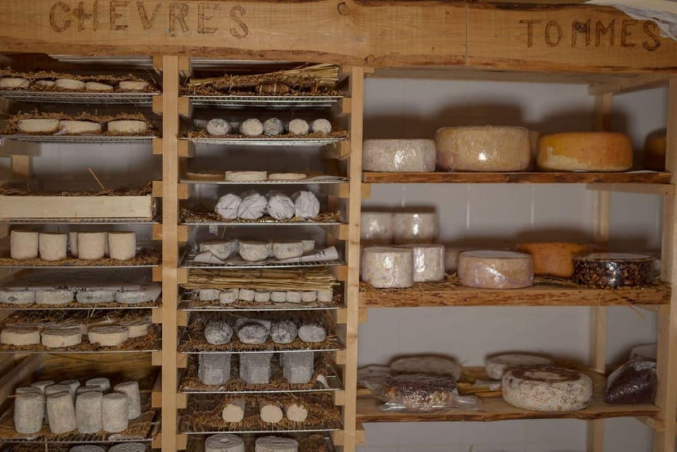 Paris: Living Cheese Museum Guided Tour with Cheese Tasting | GetYourGuide