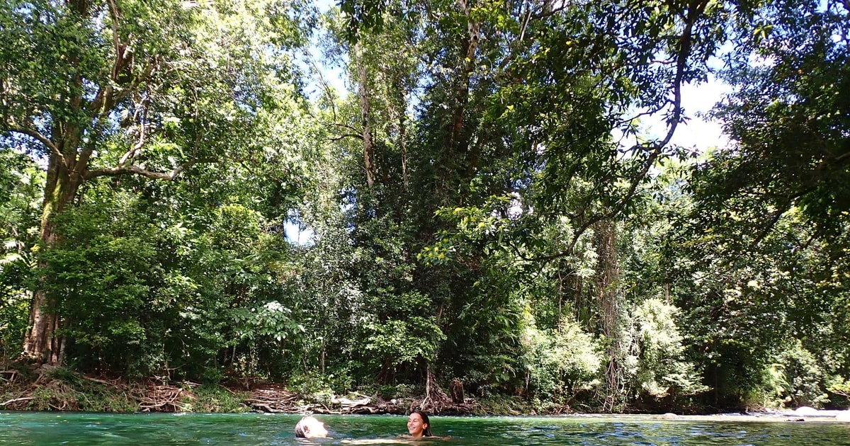 Cairns: Explorer Tour- Cairns Waterfalls | GetYourGuide