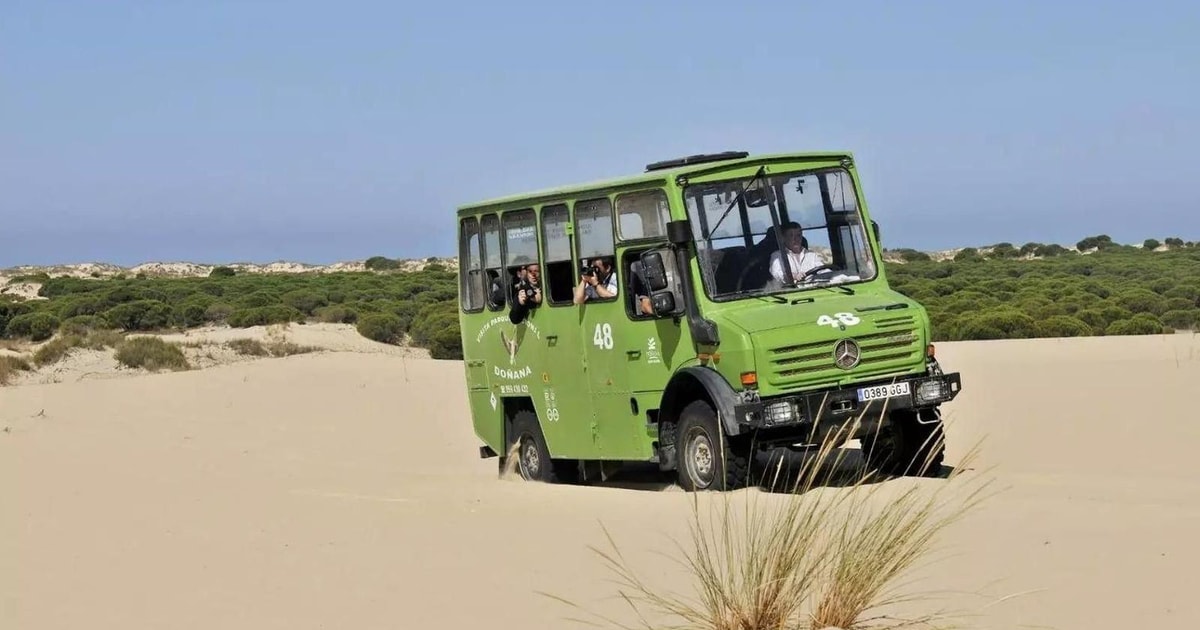 Doñana: 4x4 tour of the national park and beaches | GetYourGuide